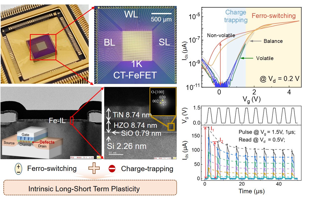 IEDM 2024：复旦大学芯片院在类脑计算领域最新进展—用于轨迹预测的动态存算类脑系统